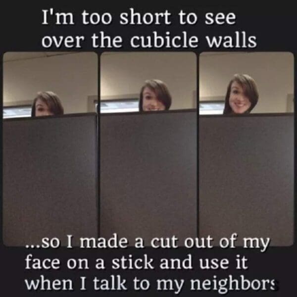 33 Short People Memes That Capture Life from a Lower Perspective