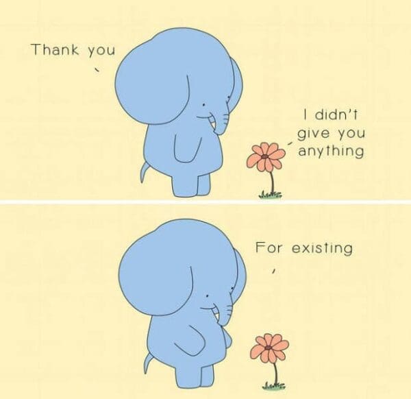 Thank You Memes: 29 Memes About Giving Thanks