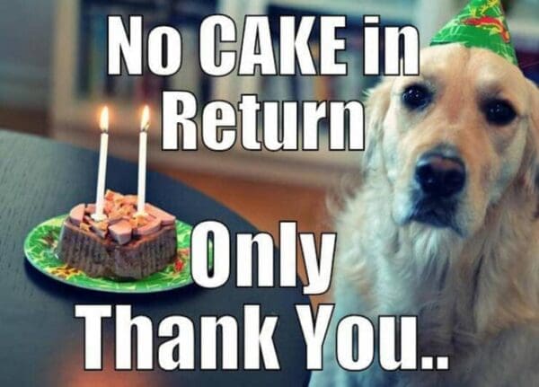Thank You Memes: 29 Memes About Giving Thanks