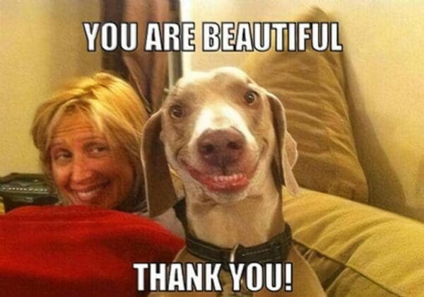 Thank You Memes: 29 Memes About Giving Thanks