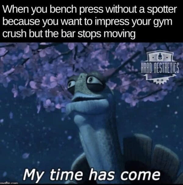 Workout Memes: 45 Gym & Exercise Memes for GAINS