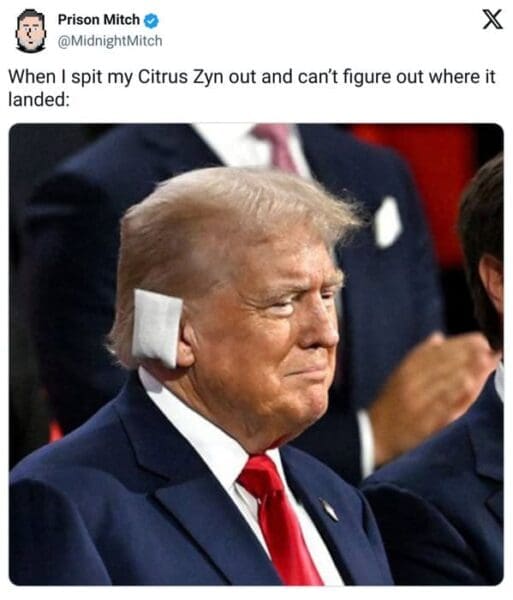 34 Zyn Memes Better Than Your Next Lip Pillow