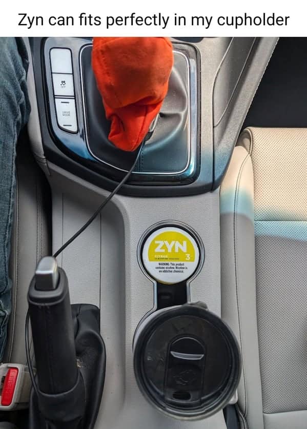 34 Zyn Memes Better Than Your Next Lip Pillow