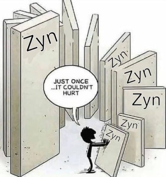 34 Zyn Memes Better Than Your Next Lip Pillow