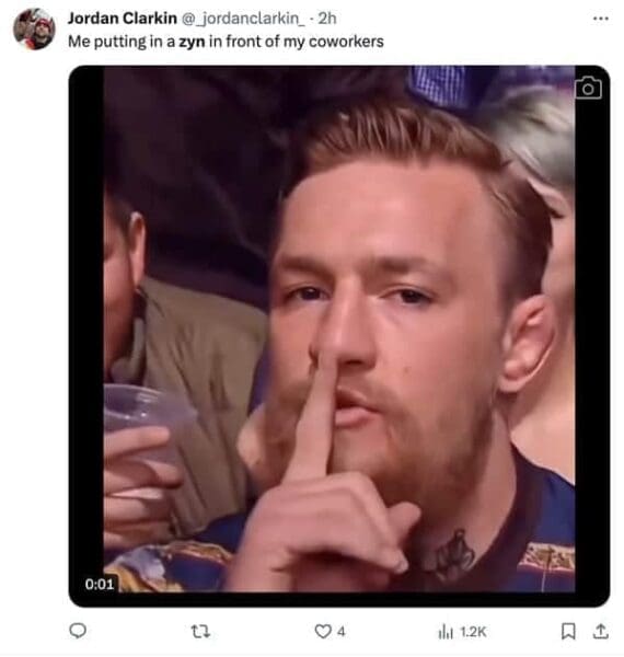 34 Zyn Memes Better Than Your Next Lip Pillow