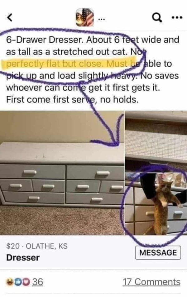 Americans Will Literally Use Anything but the Metric System: 33 ...