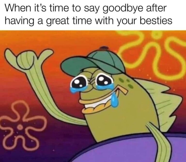 40 Best Friend Memes for the BFFs Who Are Always Together