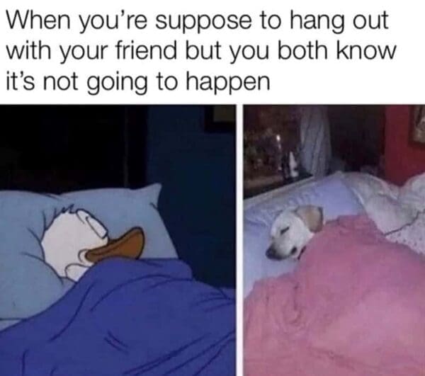 40 Best Friend Memes for the BFFs Who Are Always Together
