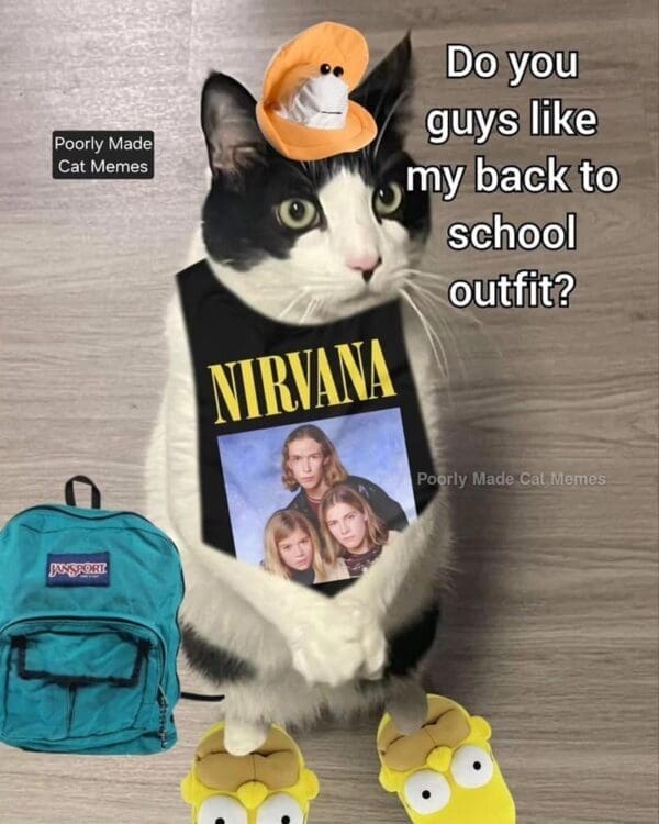 Cat Memes: 23 Motivational Kitties For Some Good Vibes