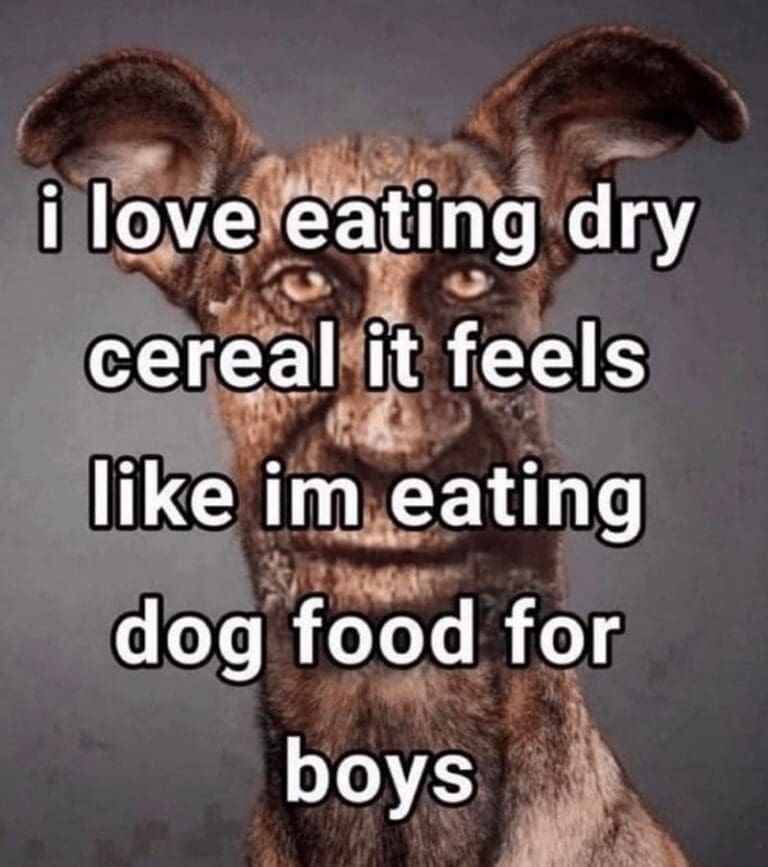 Cereal Memes: 28 Memes For Any Time of Day