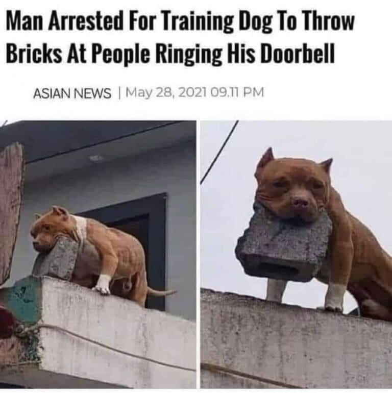 45 Chaotic Memes That Will Take You on a Wild Ride from Start to Finish
