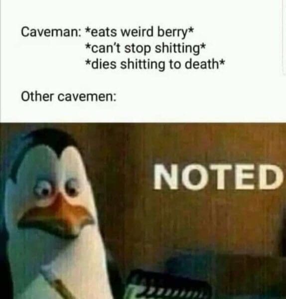 45 Chaotic Memes That Will Take You on a Wild Ride from Start to Finish