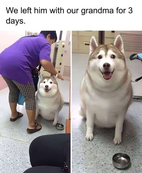 45 Eastern European Memes: Straight from the Motherland