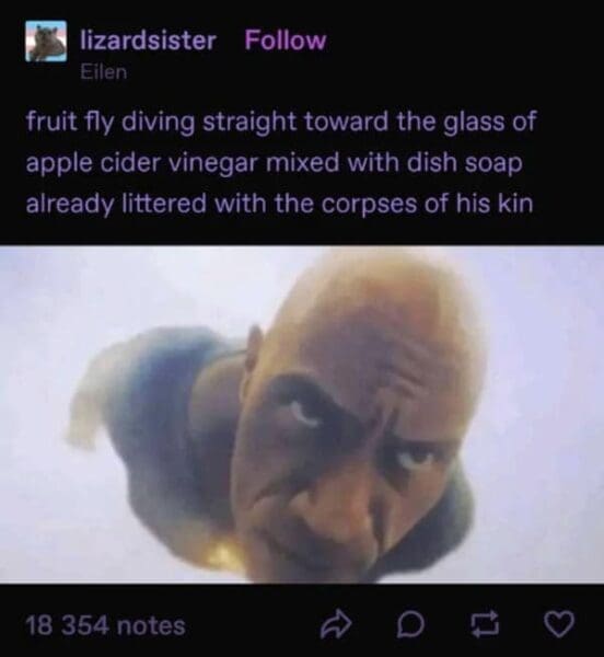50 Of the Best Tumblr Memes You Need to See This Week