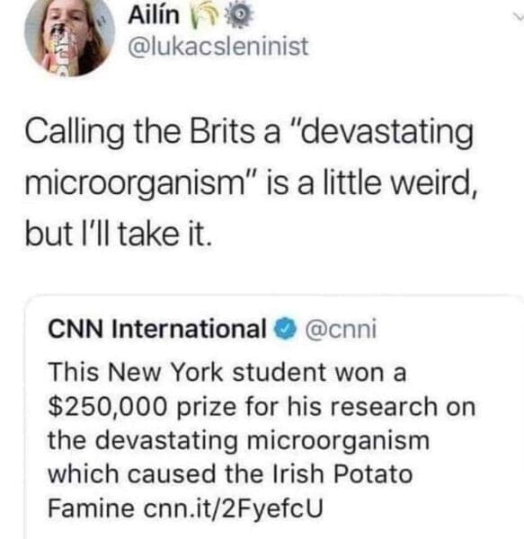 Funny Comments: 34 Hilarious Clapbacks on Socials