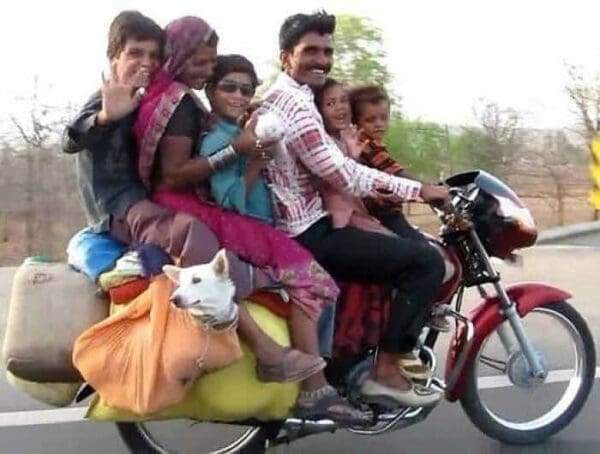 50 Funny India Memes And Photos That Prove Life Is Sweet in the Indian ...