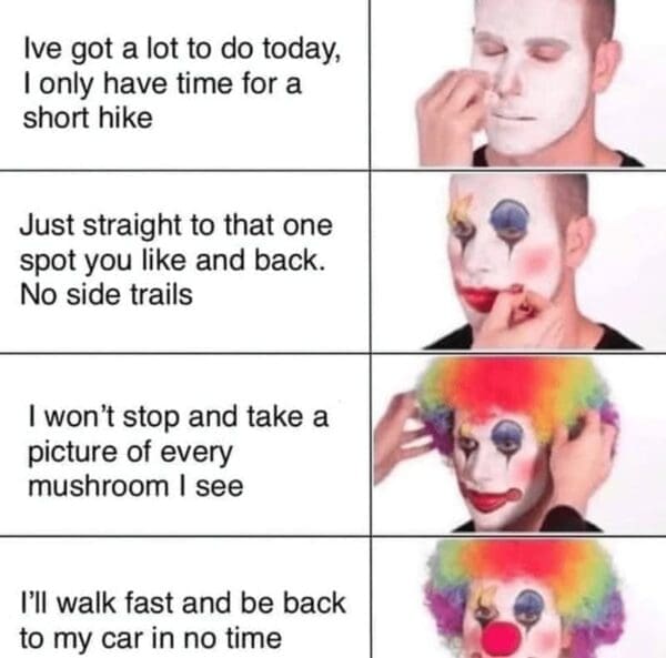 35 Funny Hiking Memes That Will (Almost) Make Trail Mix Taste Good