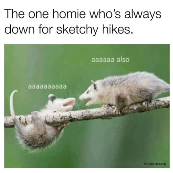 35 Funny Hiking Memes That Will (Almost) Make Trail Mix Taste Good