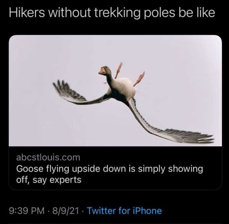 35 Funny Hiking Memes That Will (Almost) Make Trail Mix Taste Good
