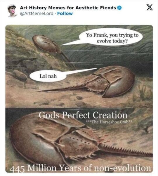 History Memes: 48 Memes For The History Nerds