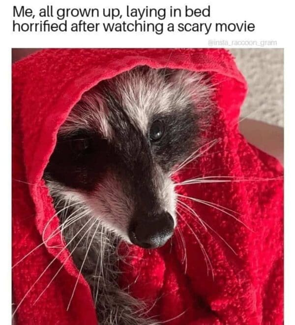 44 Horror Movie Memes for Spooky Folks Who Love to Scare Themselves