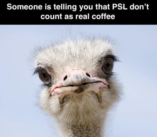 Pumpkin Spice Latte Memes: 30 Gems to Start the Season