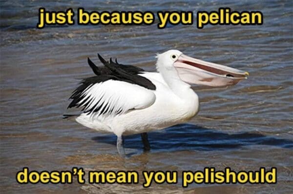 Reaction Memes: 45 Pics To Use in Your Group Chat
