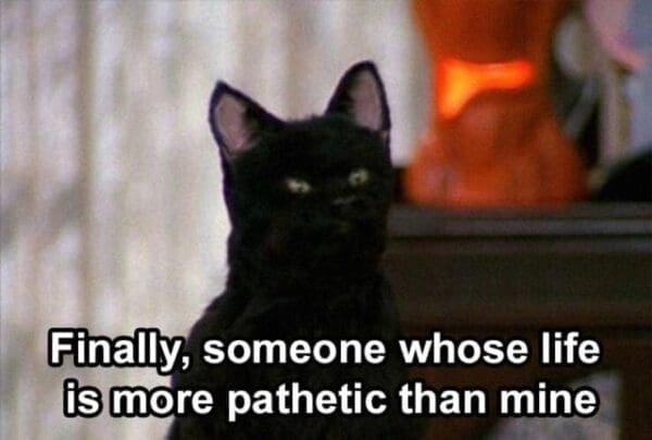 Reaction Memes: 45 Pics To Use in Your Group Chat
