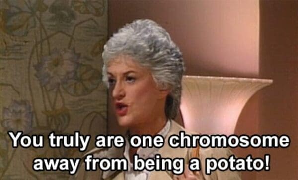 Reaction Memes: 45 Pics To Use in Your Group Chat