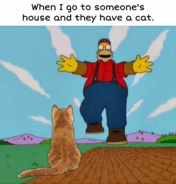 Simpsons Memes: 24 Gems for Die-Hard Fans