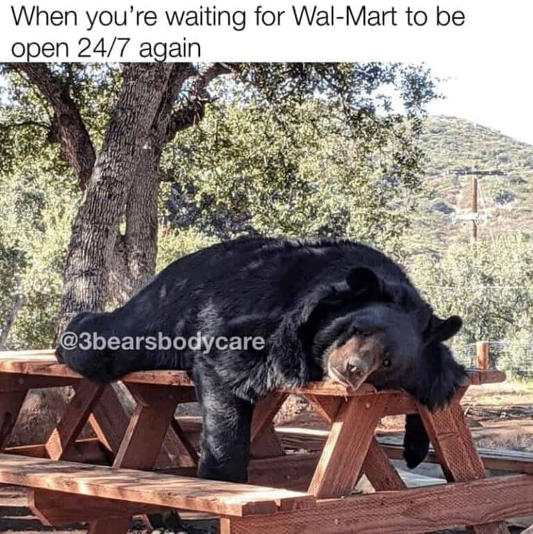 35 Walmart Memes Will Make You Question Your Next Shopping Trip
