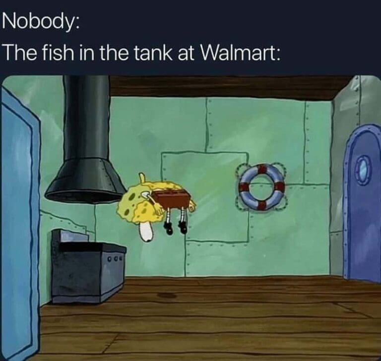 35 Walmart Memes Will Make You Question Your Next Shopping Trip
