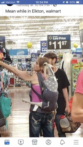 35 Walmart Memes Will Make You Question Your Next Shopping Trip