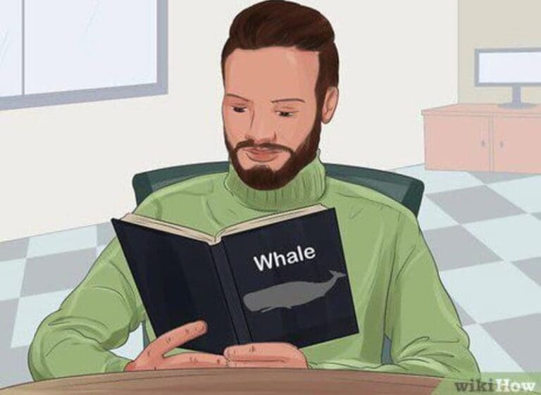 WikiHow Memes: 27 Dark Jokes from the Parody Kings