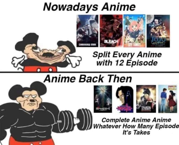Anime Memes: 35 Memes for the Anime-niacs