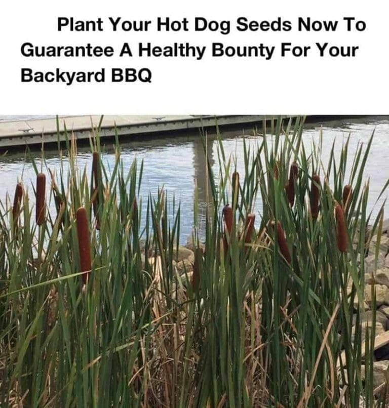 40 Bad Life Hacks That Will Only Make Your Life Worse