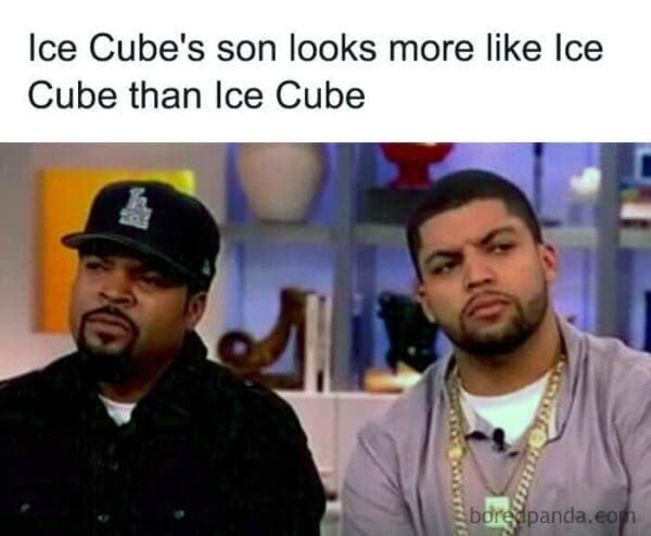 45 Celebrity Memes From Famous Faces Who Never Intended to Be Memes