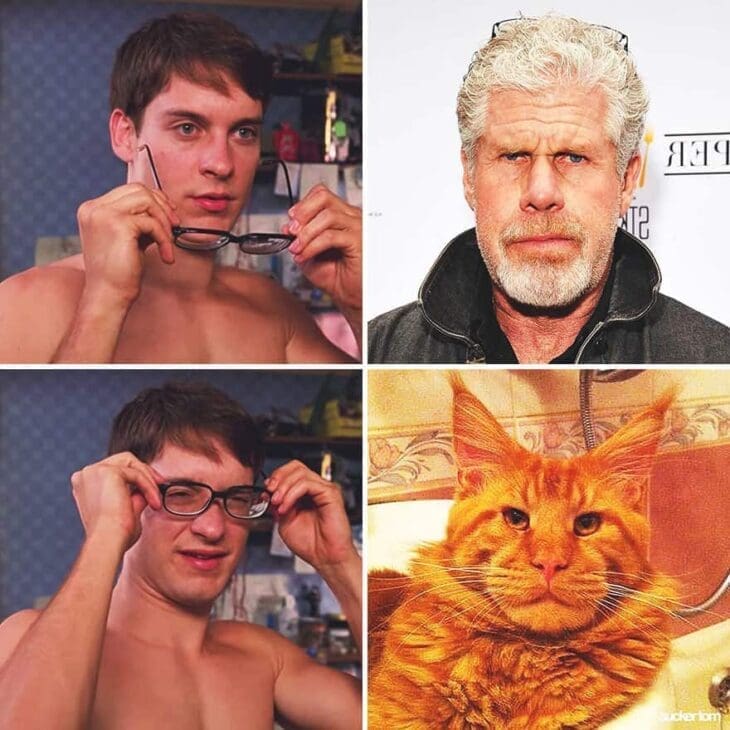 45 Celebrity Memes From Famous Faces Who Never Intended to Be Memes