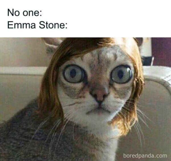45 Celebrity Memes From Famous Faces Who Never Intended to Be Memes