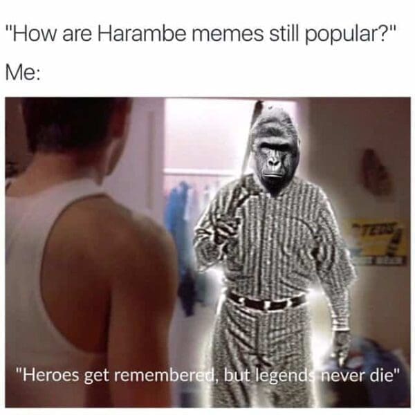 50 Classic Memes That Will Take You Back to the Golden Days of the Internet