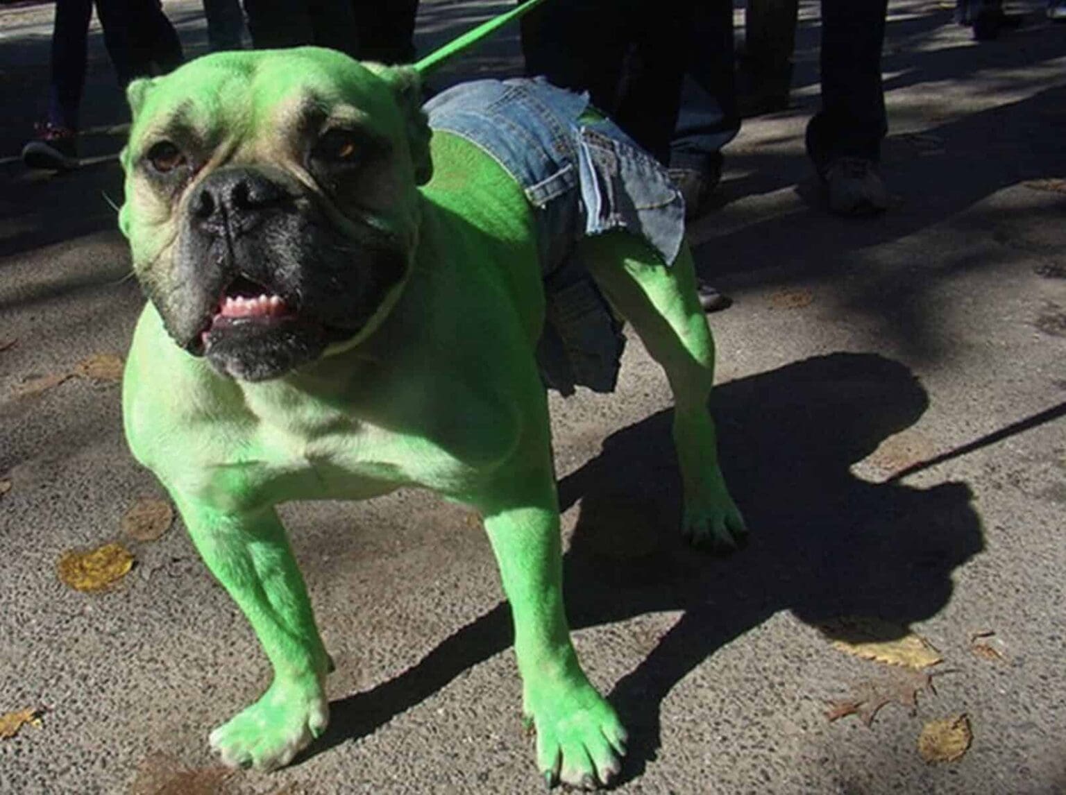 44 Cursed Cosplays That Are So Hilariously Bad, They’re Amazing