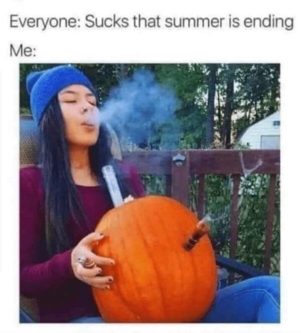 35 End of Summer Memes to Eke Out Every Last Drop of Sunshine