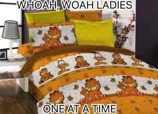 Garfield Memes: 35 Memes About the Timeless Cat