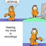 Garfield Memes: 35 Memes About the Timeless Cat