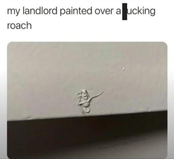 Landlord Memes: 30 Relatable Memes for Every Renter