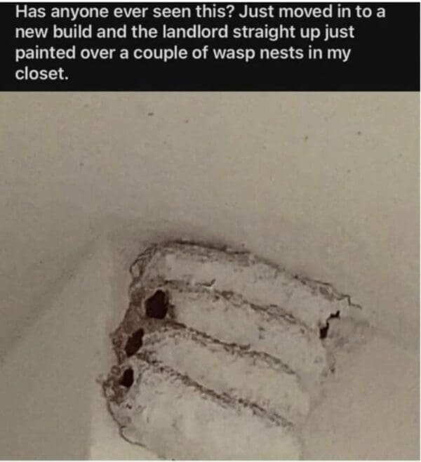 Landlord Memes: 30 Relatable Memes for Every Renter