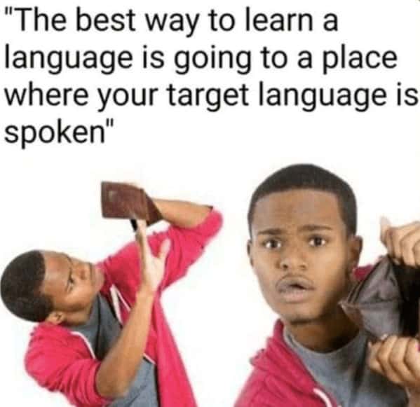 Language Memes: 40 Memes For The Multilinguals
