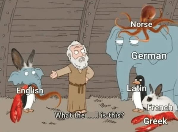 Language Memes: 40 Memes For The Multilinguals