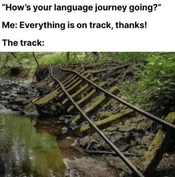 Language Memes: 40 Memes For The Multilinguals