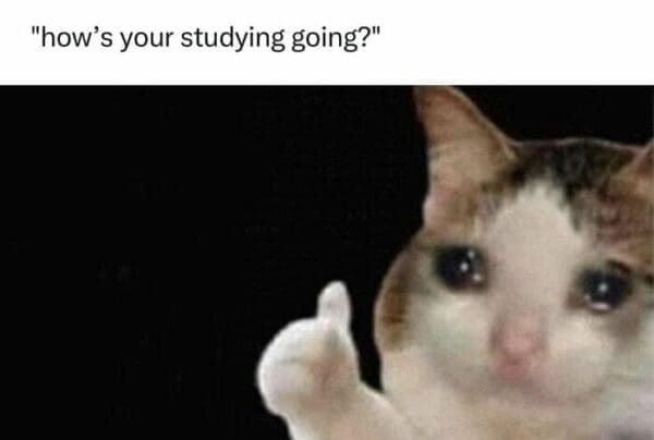 40 Funny Medical Worker Memes for Anyone Who’s Survived a Shift in Scrubs